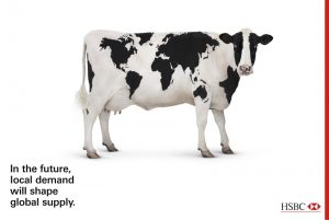 Cash Cow for HSBC - A-Z Animals