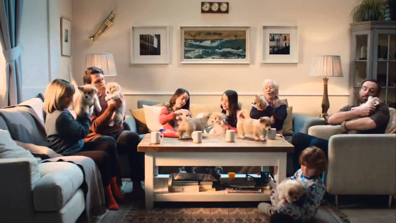 Puppies for McVities - A-Z Animals
