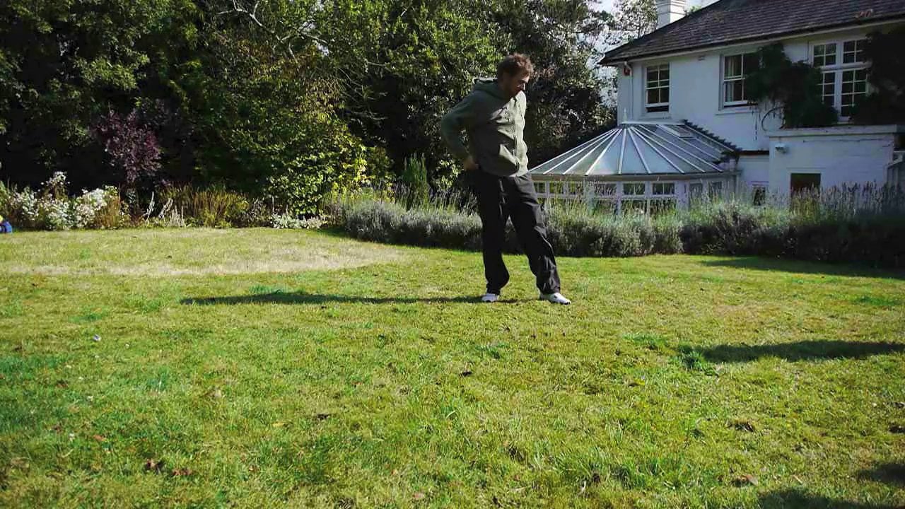 Stunt Dogs at A-Z Animals - A-Z Animals